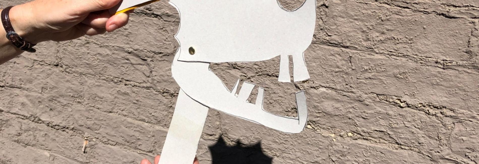 Shadow Monsters | University of Cambridge Museums