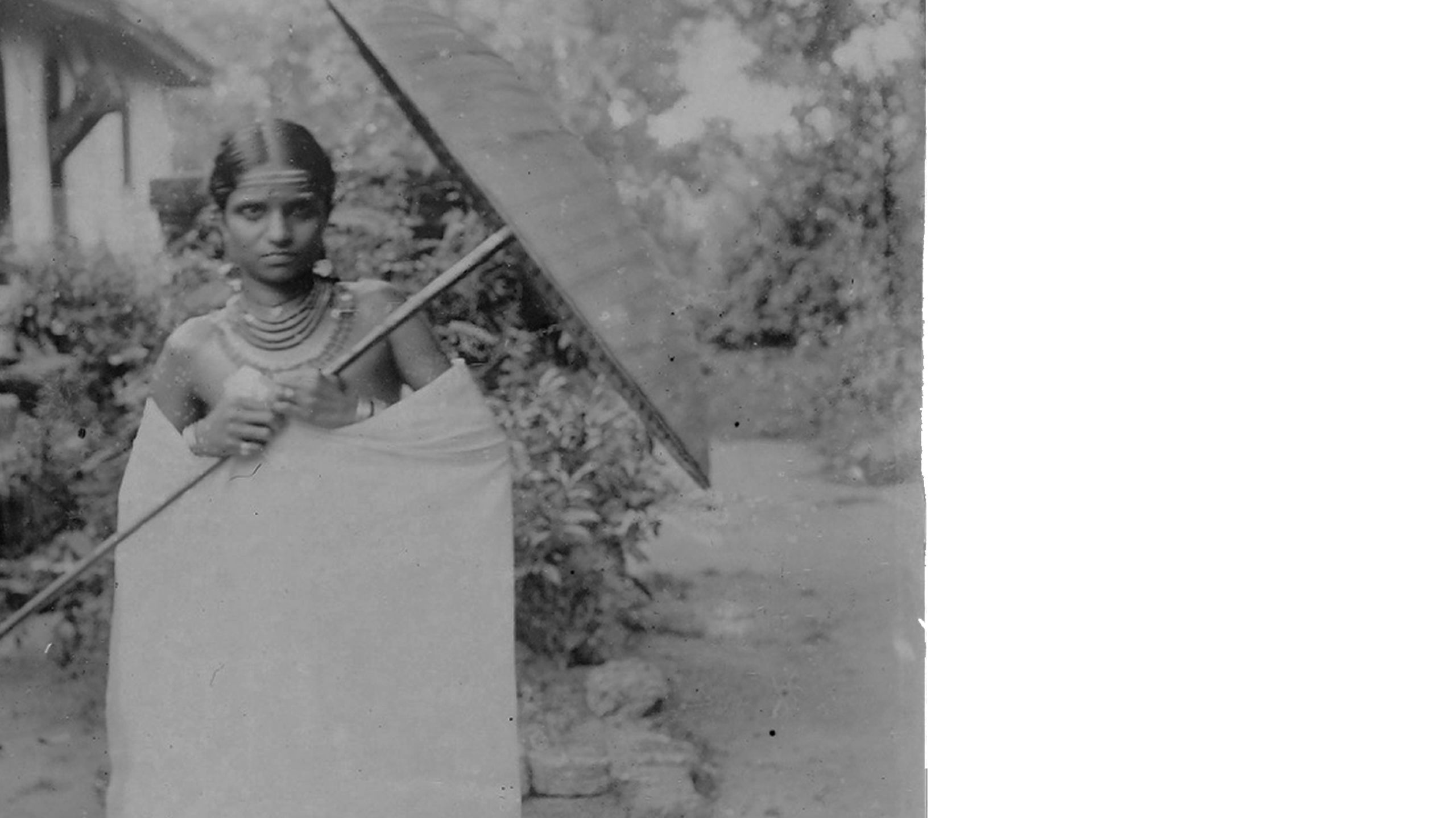 The Namboothiris and Nairs of 20th Century Kerala